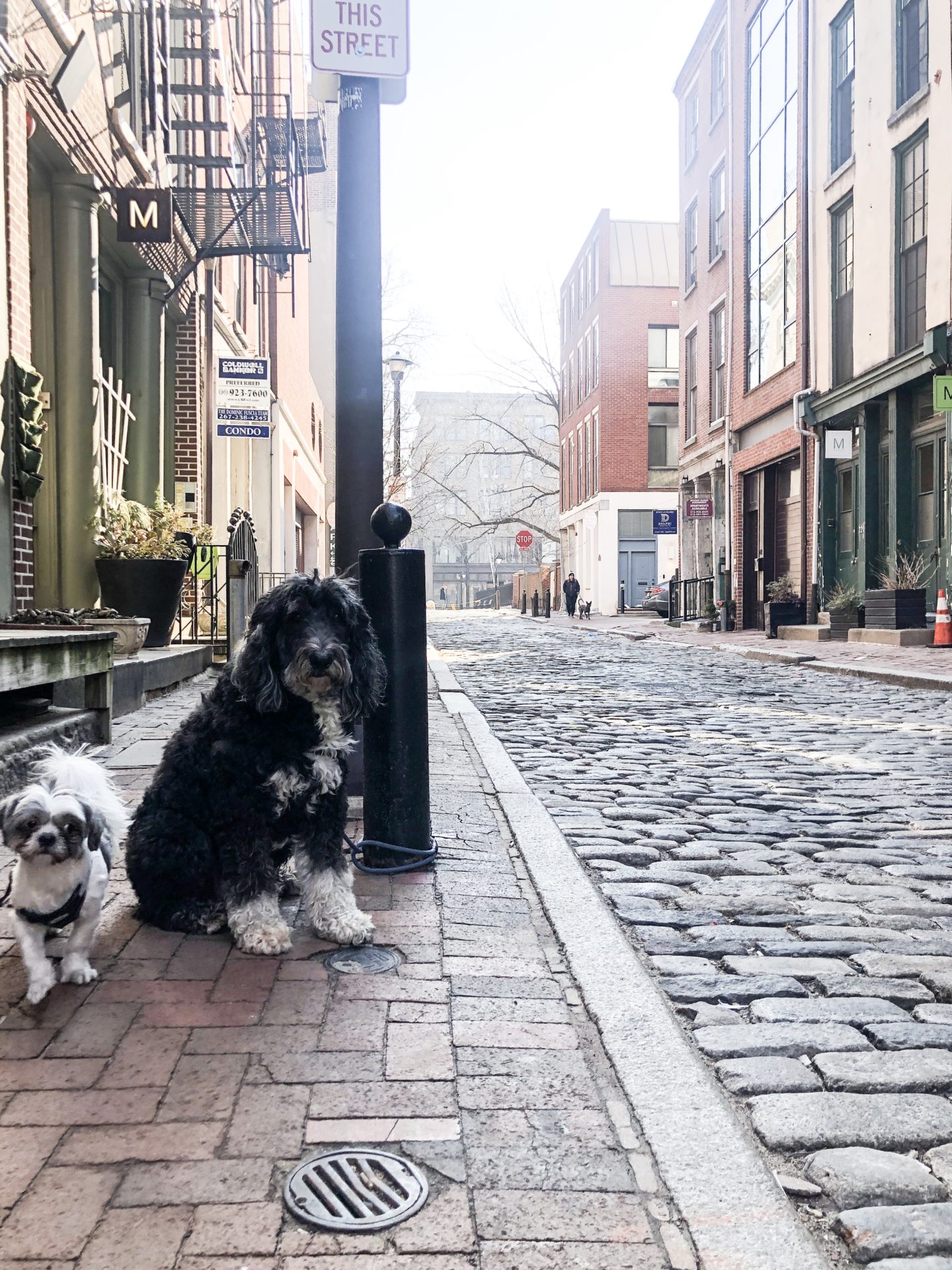 The Complete Local's Guide to Old City, Philadelphia - Style + Eat