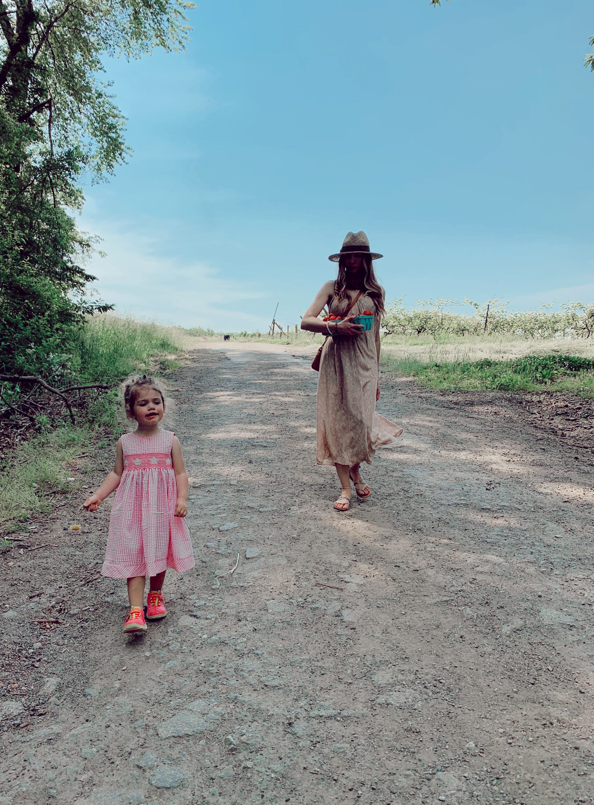 Tips for Visiting Linvilla Orchards in Media, Pennsylvania