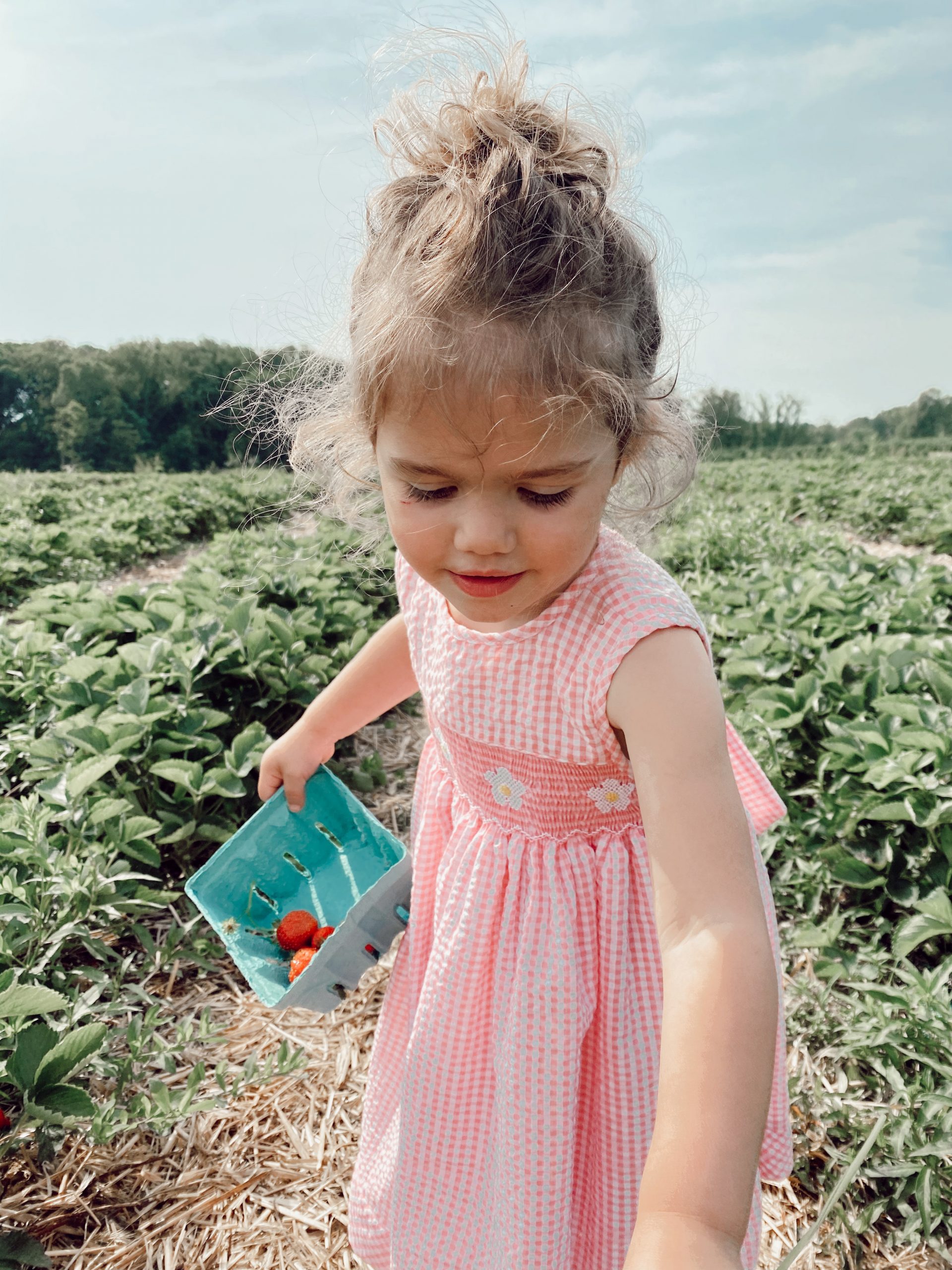 Tips for Visiting Linvilla Orchards in Media, Pennsylvania