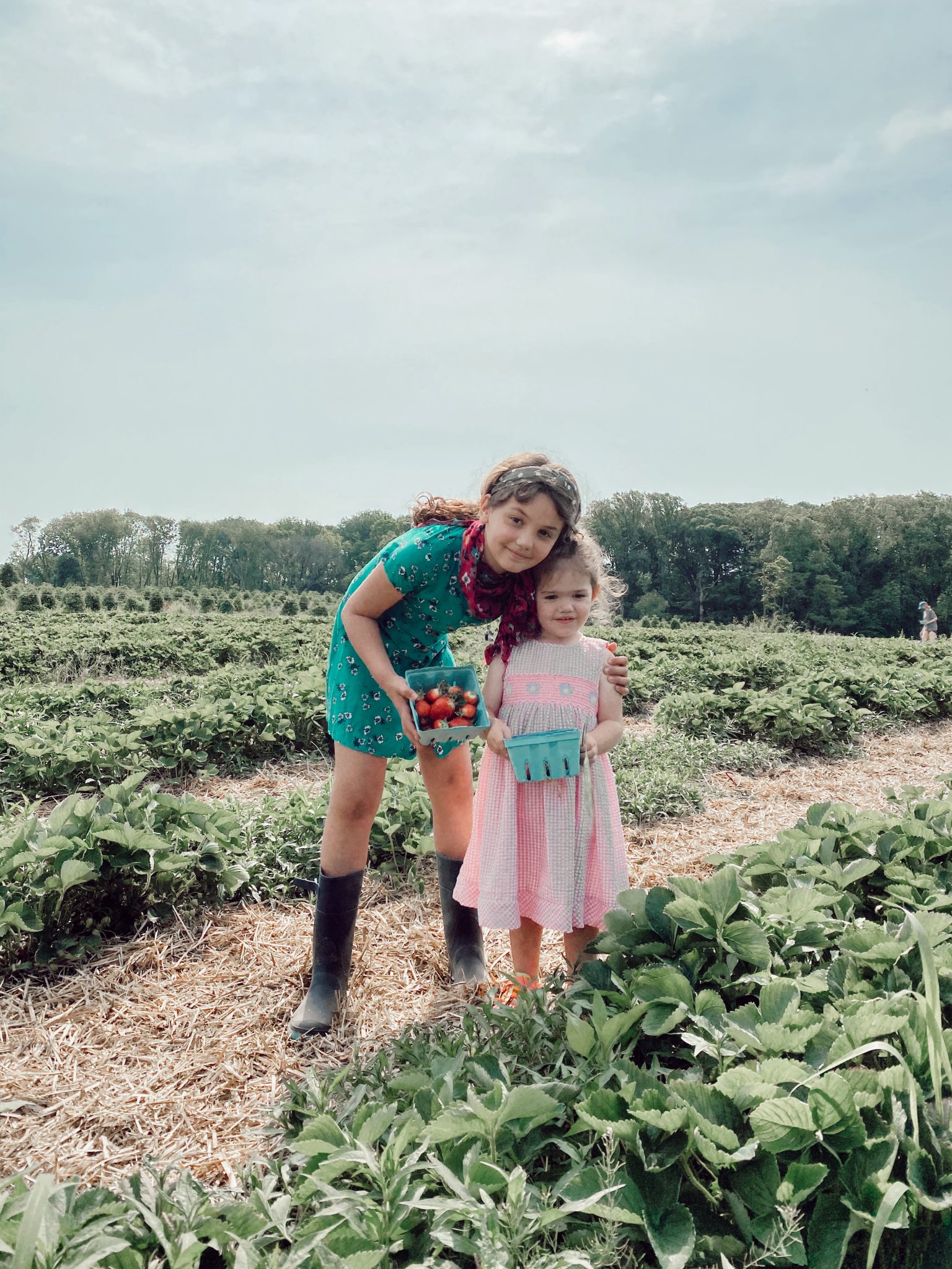 Tips for Visiting Linvilla Orchards in Media, Pennsylvania