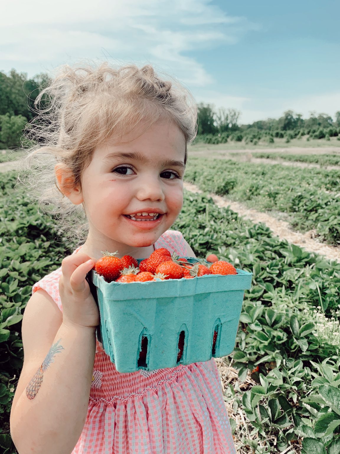 Tips for Visiting Linvilla Orchards in Media, Pennsylvania