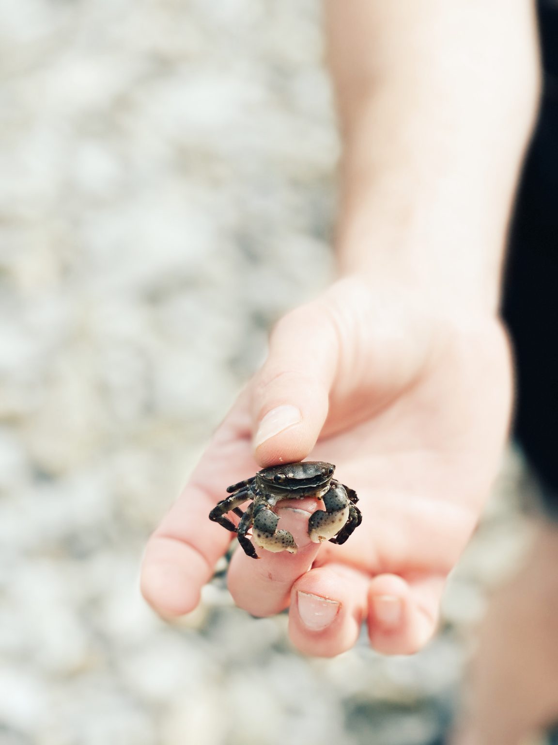 Visit Prudence Island, Rhode Island a Travel Guide to this special island!
