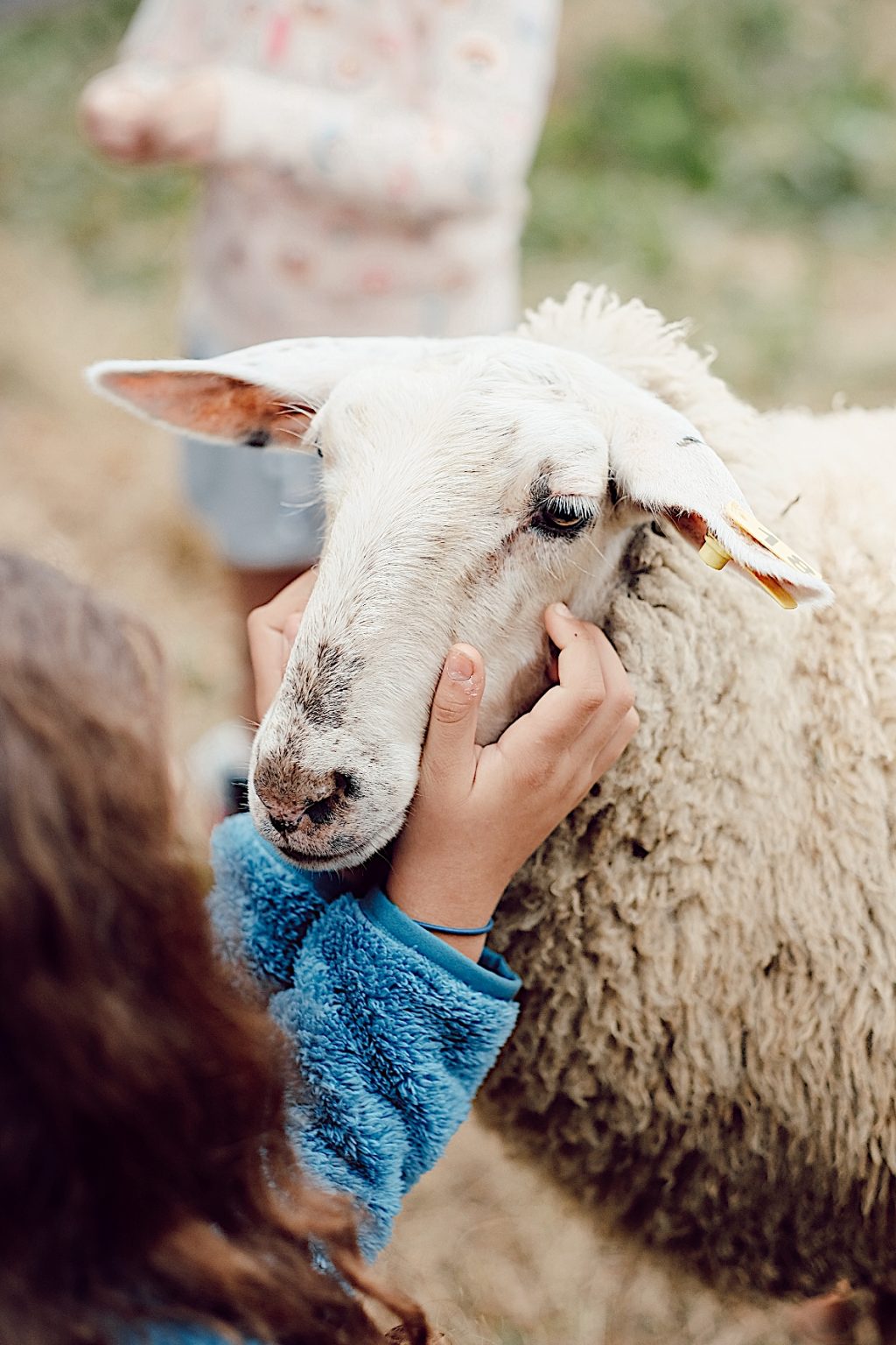 Our Stay at Fat Sheep Farm in Vermont - Style + Eat